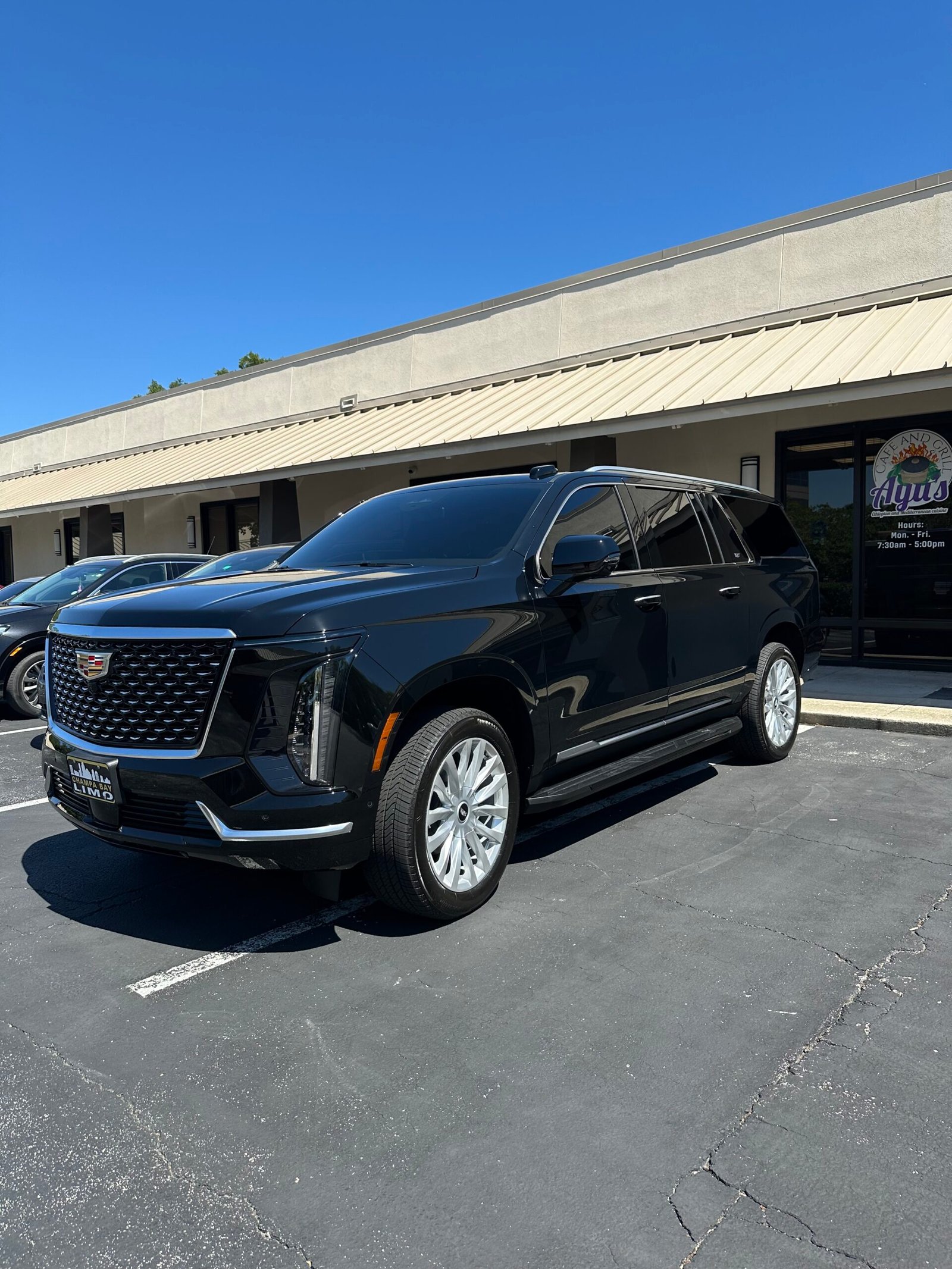 Fleet - Champa Bay Limousine